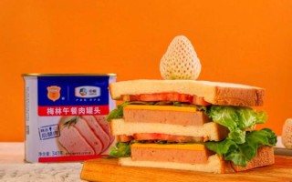 梅林午餐肉怎么做好吃_梅林午餐肉的做法大全