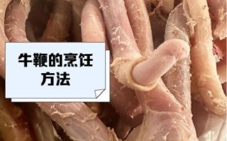 牛鞭是什么样子_牛鞭外观特征图解