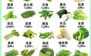 100种蔬菜图片大全名称_哪些蔬菜适合新手种植