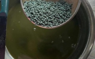 乌米饭怎么做_乌米饭的功效与作用