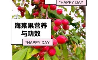 海棠果的功效与作用_海棠果怎么吃最好