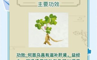 何首乌的毒性有多大_如何安全服用何首乌