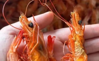 袋装干虾怎么泡发_袋装干虾的做法大全