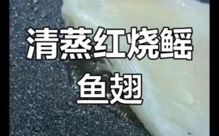 鲜鱼翅怎么做好吃_家常做法大全