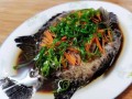 黑鲷鱼怎么做好吃_黑鲷鱼的家常做法大全
