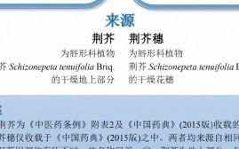 荆芥木耳治疗牙疼吗_荆芥木耳治牙疼多久见效