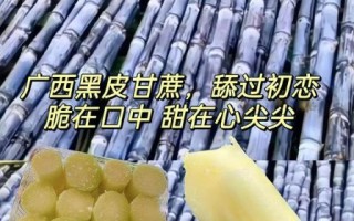 黑皮甘蔗上火还是下火_怎么吃不上火