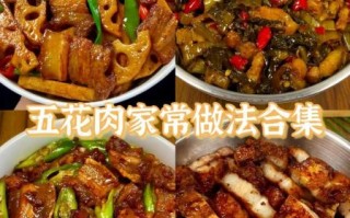 五花肉块怎么做好吃_家常五花肉块做法大全