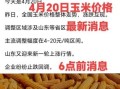 玉米价格最新行情_玉米还会涨价吗