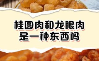 龙眼肉和桂圆肉的区别_哪个更好