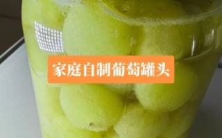 葡萄罐头怎么做_葡萄罐头家常做法