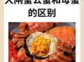 河蟹和大闸蟹的区别_哪个更好吃