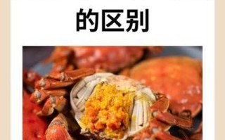 河蟹和大闸蟹的区别_哪个更好吃