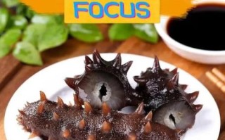 海参怎么泡发_海参怎样烹饪才好吃