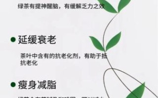 常喝绿茶对身体有什么好处_长期喝绿茶的副作用