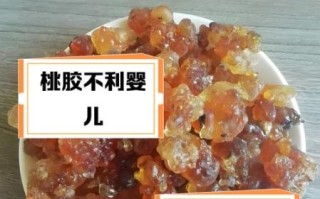 桃胶的禁忌与副作用_哪些人不能吃桃胶