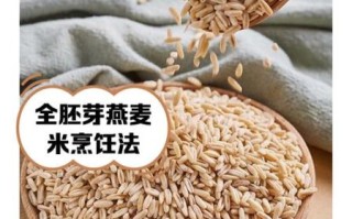胚芽燕麦米能减肥吗_胚芽燕麦米的功效与作用