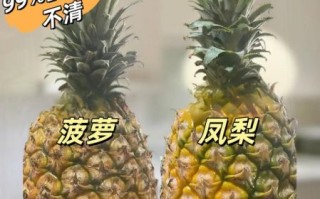 凤梨和菠萝哪个上火_凤梨吃了会上火吗