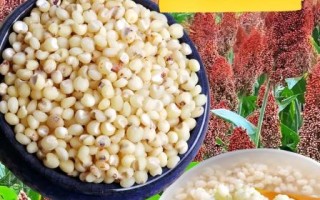 高粱米怎么煮_高粱米做法大全