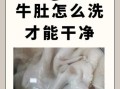 牛肚图片大全_牛肚怎么清洗才干净