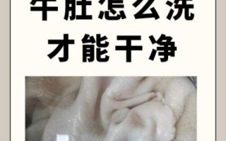 牛肚图片大全_牛肚怎么清洗才干净