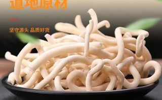 白通草的功效与作用_白通草怎么吃效果最好