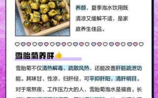 雪菊胎菊的功效与作用_雪菊胎菊适合什么人喝