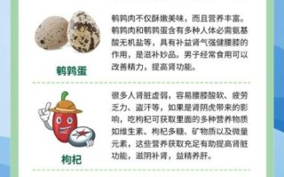 男人肾虚怎么调理_肾虚吃什么好