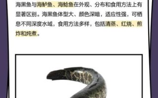 海黑鱼的营养价值_海黑鱼的功效与作用