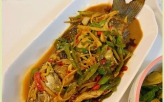 红烧鲫鱼怎么做才好吃_家常简单做法视频