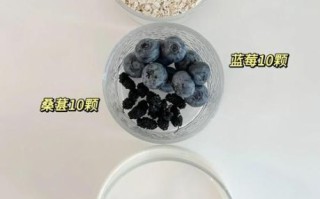 蓝莓奶昔怎么做_蓝莓奶昔需要哪些材料