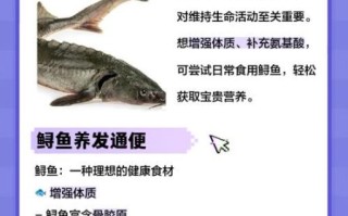 鲟鱼的功效与作用禁忌_孕妇可以吃鲟鱼吗
