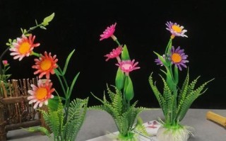 冷菜围边花草有哪些_冷菜围边花草怎么摆