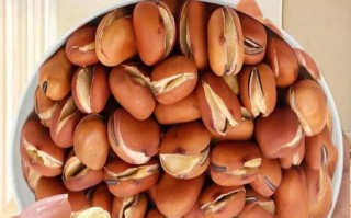 很硬的干蚕豆怎么炒_干蚕豆炒前怎么处理