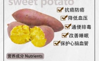 红苕的营养价值_红苕的功效与作用