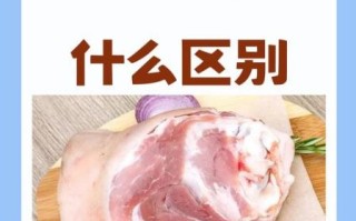 蹄髈怎么读_蹄髈和肘子区别