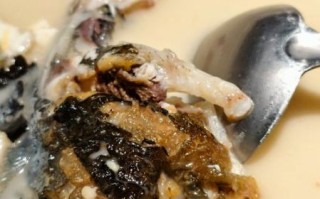 鱼头做汤怎么做好吃_鱼头汤去腥技巧