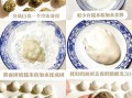 汤圆怎么煮不破_汤圆做法大全