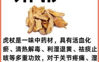 虎杖的功效与作用_虎杖能降尿酸吗