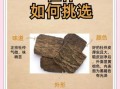 补肾最好的一味中药是什么_如何正确服用