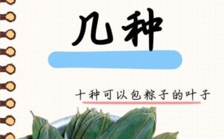 粽叶有哪几种_粽叶图片大全