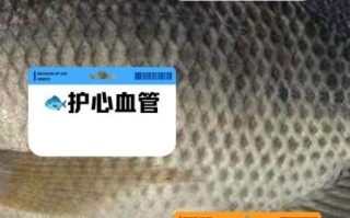 鱼肉的营养价值及功效与作用_鱼肉怎么吃最健康
