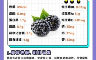 桑葚干的功效与作用_桑葚干怎么吃最好