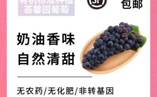 黑提葡萄的功效与作用_黑提葡萄能减肥吗