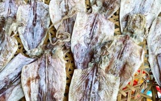 干鱿鱼怎么泡发_干鱿鱼的家常做法