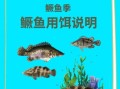 桂鱼怎么钓用什么饵料_钓桂鱼饵料配方