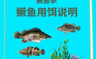 桂鱼怎么钓用什么饵料_钓桂鱼饵料配方