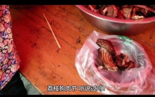 玉林狗肉节图片_为什么争议这么大