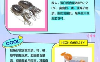 鱿鱼仔是什么_鱿鱼仔和鱿鱼有什么区别