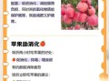 什么时候吃苹果最好_苹果减肥的正确时间
